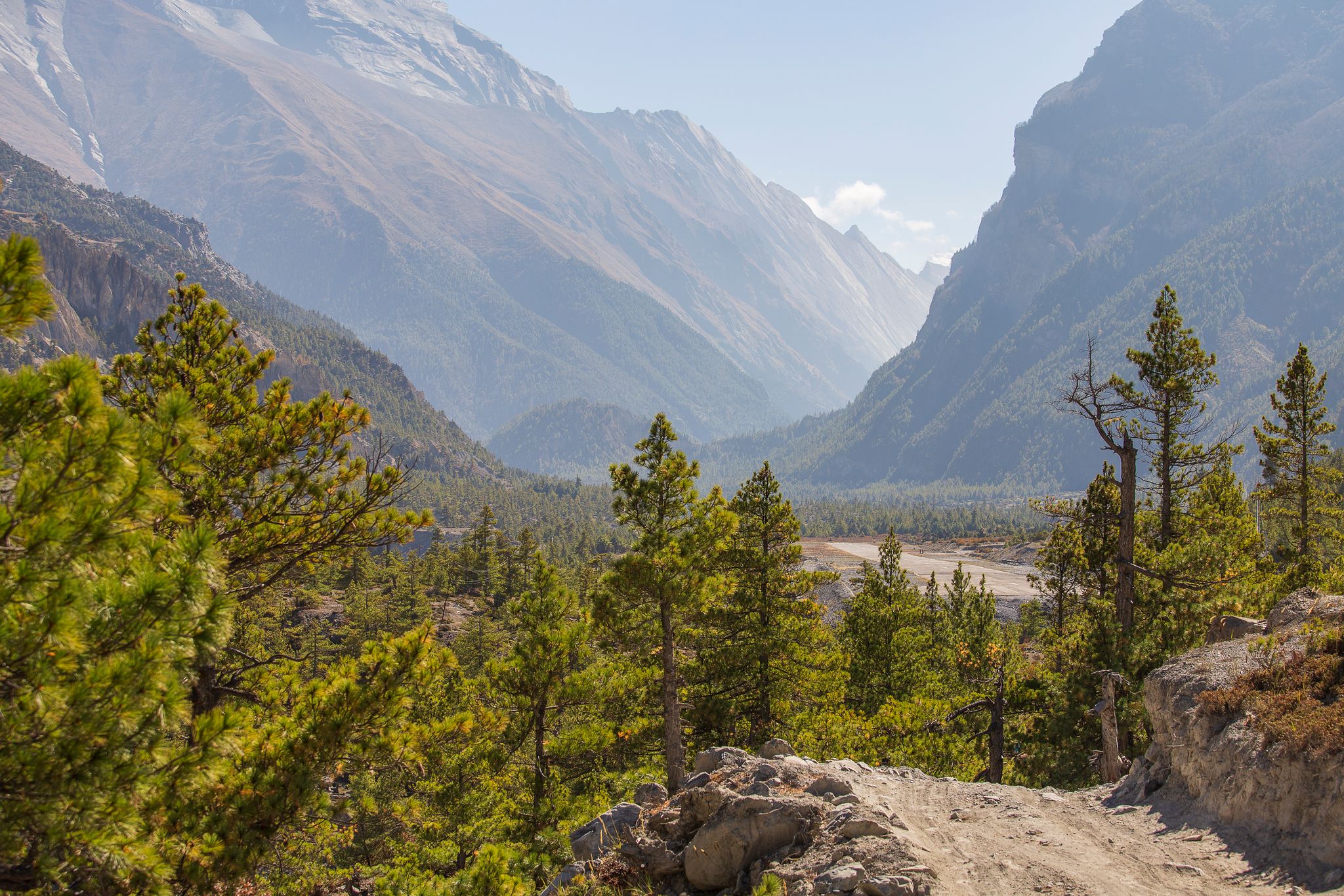 10 must-visit Wildlife sanctuaries in Himachal Pradesh - Rakkh Patrika