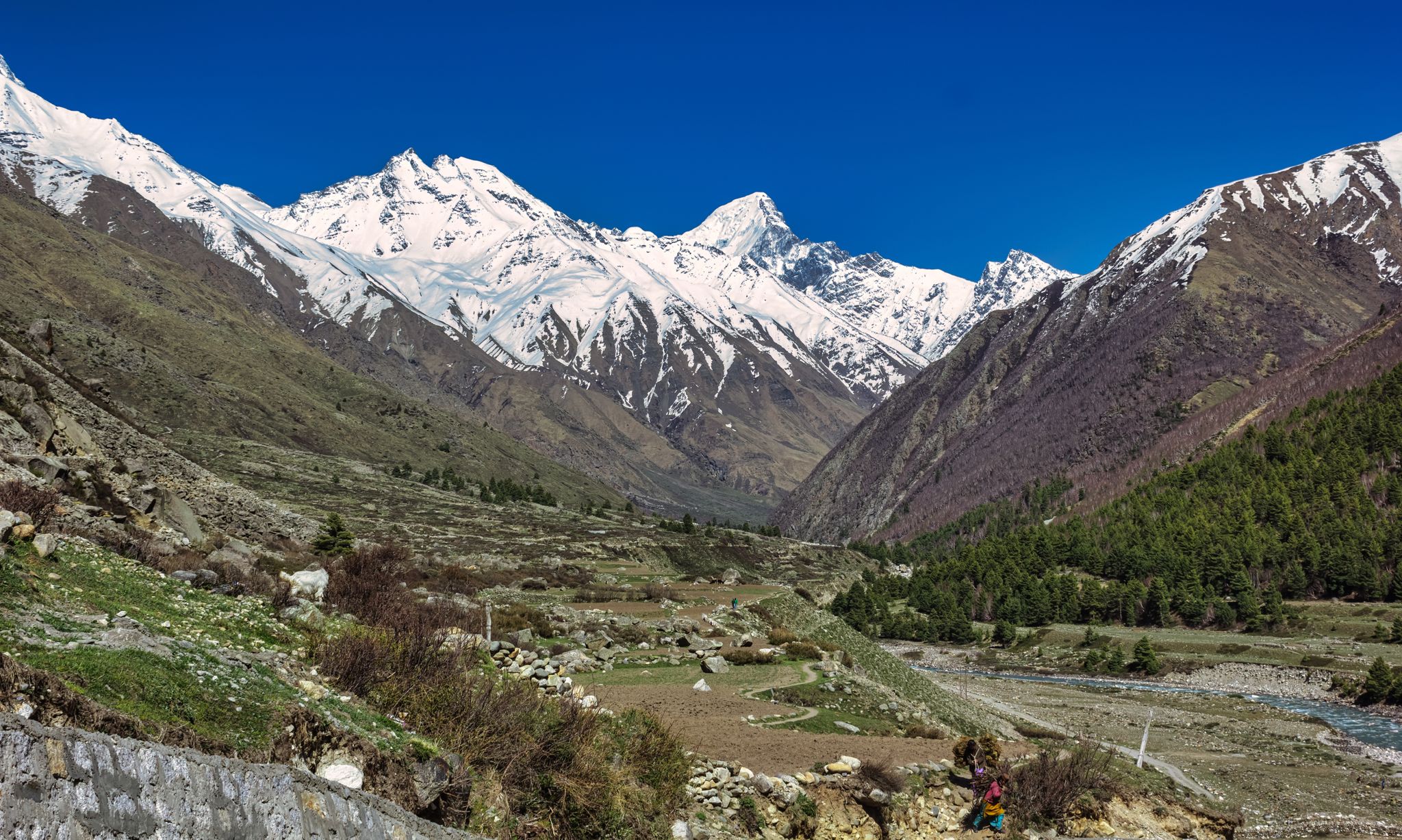 The Pabbar Valley of Himachal Pradesh - Rakkh Patrika